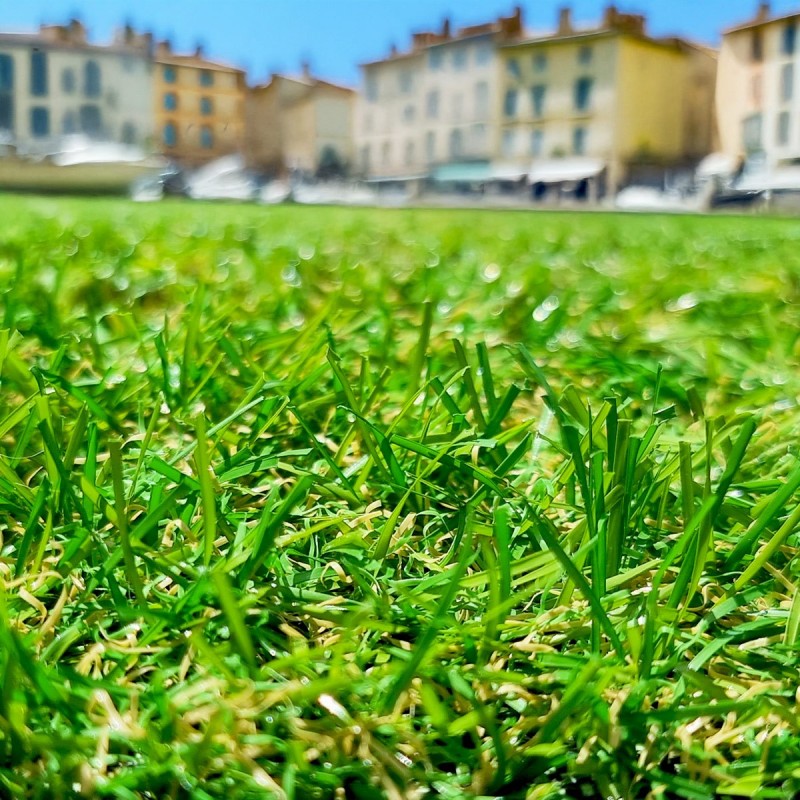 Gazon Synthétique | Pelouse Artificielle sur Mesure (Stock France)